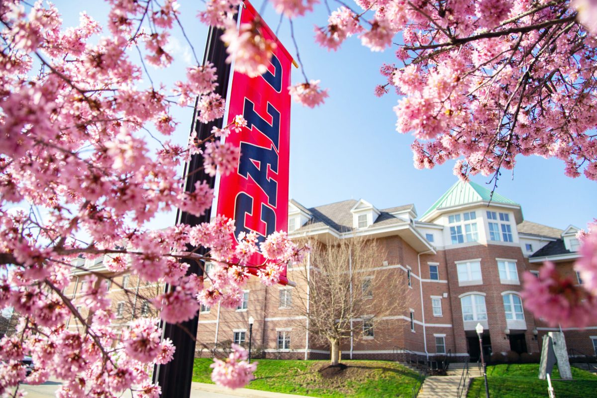 Cal U. plans to return to normal campus life in August - Observer-Reporter